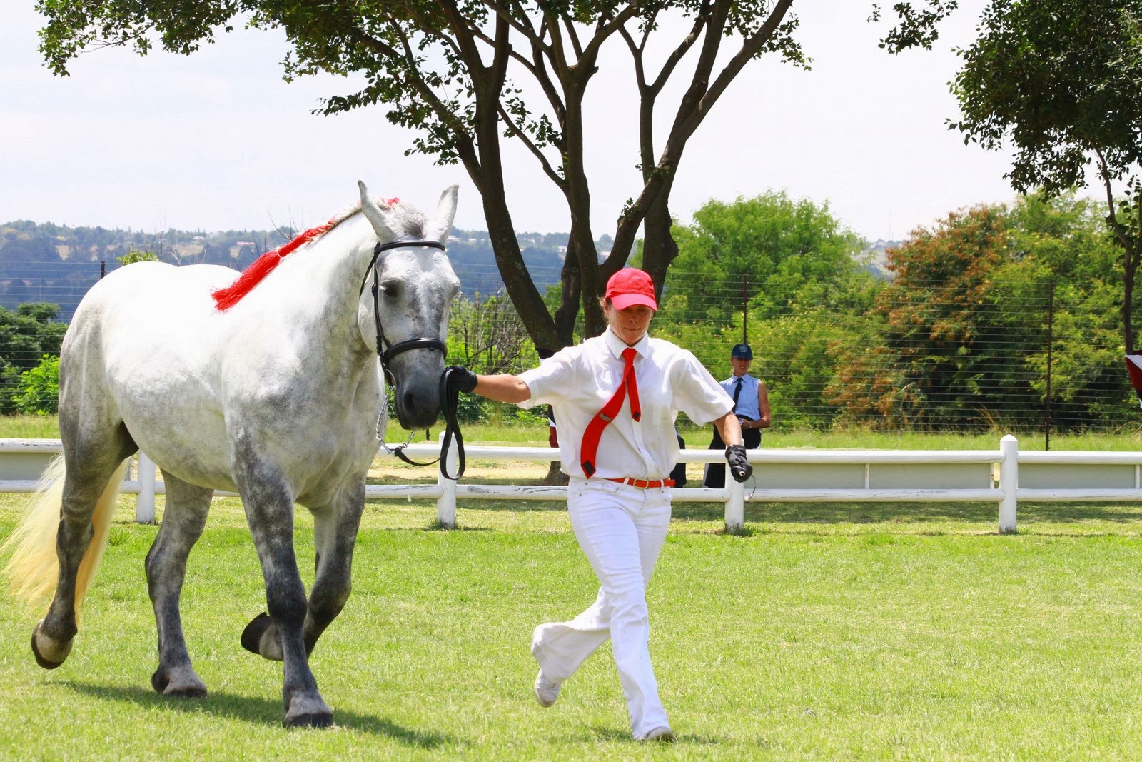 Summerwind Percheron: National Supreme Champion Percheron SA Mare ...