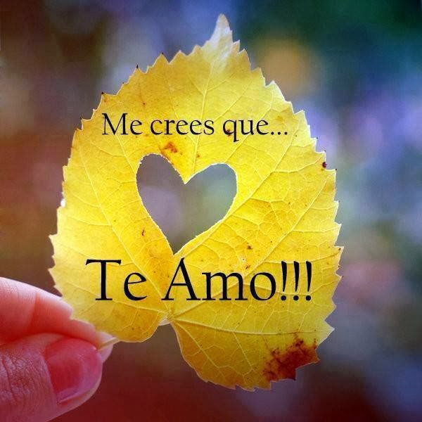 Una Vida Entera Para DOS ツ: Me crees... que te amo