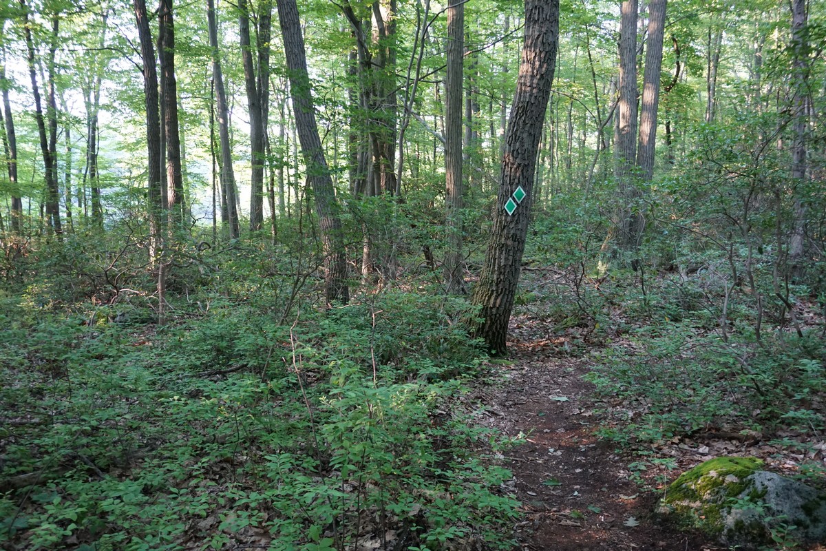 Harriman Hiker: Harriman State Park and Beyond: Breakneck Pond AMC ...