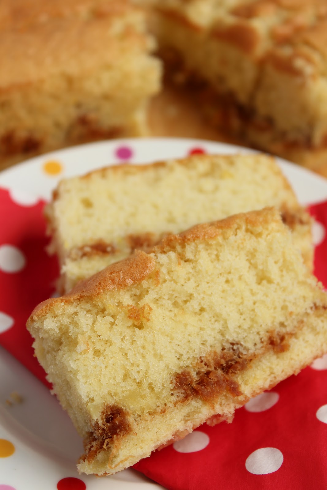 ac_cuisine_dairy: Pork Floss Cake