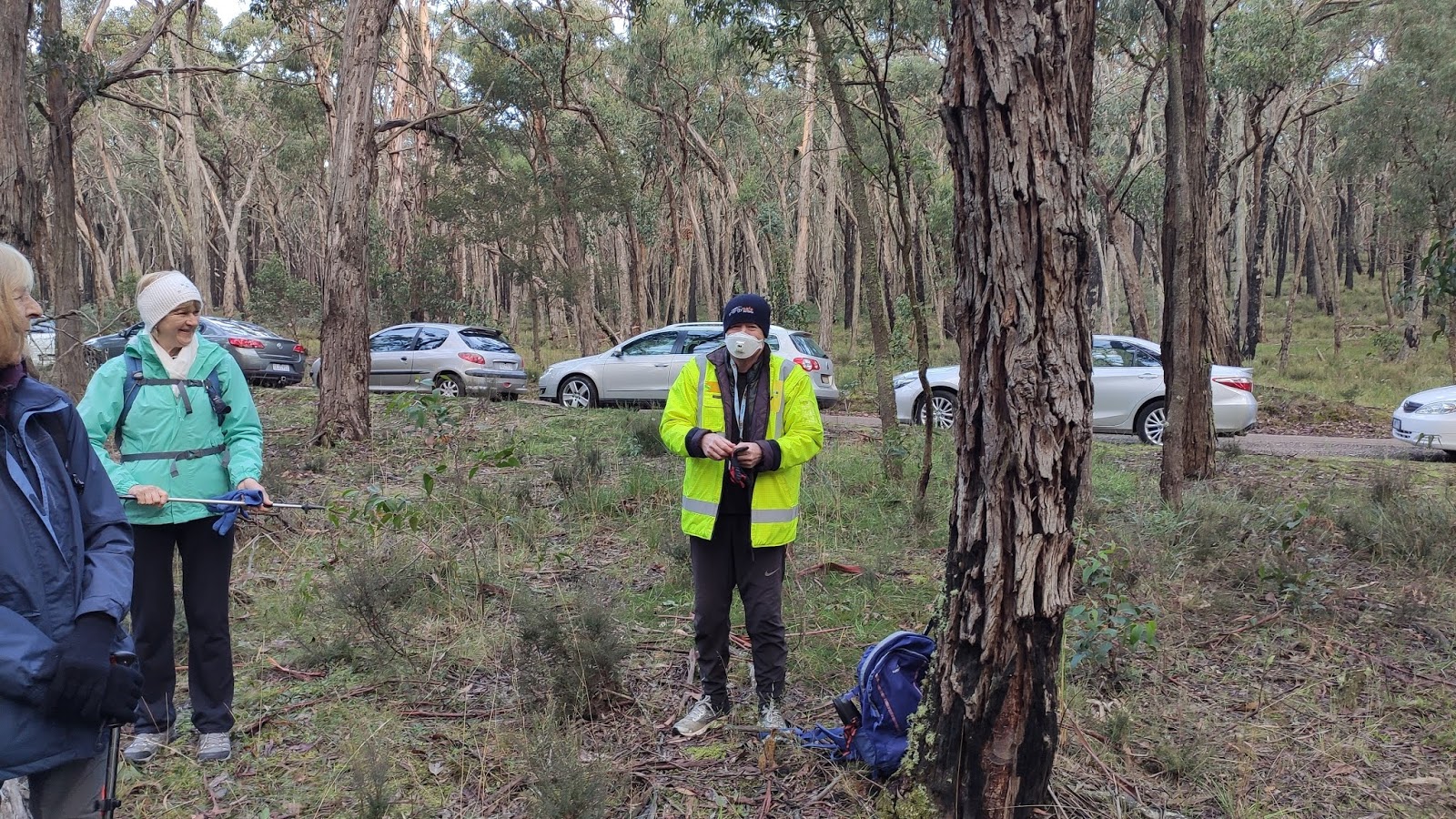 Iron Mine & Mt Doran Forest Circuit Hike 13km