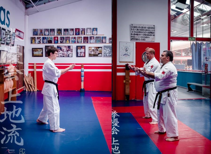 KARATE SHITO RYU ASTURIAS: Curso del maestro alemán de karate Andres ...