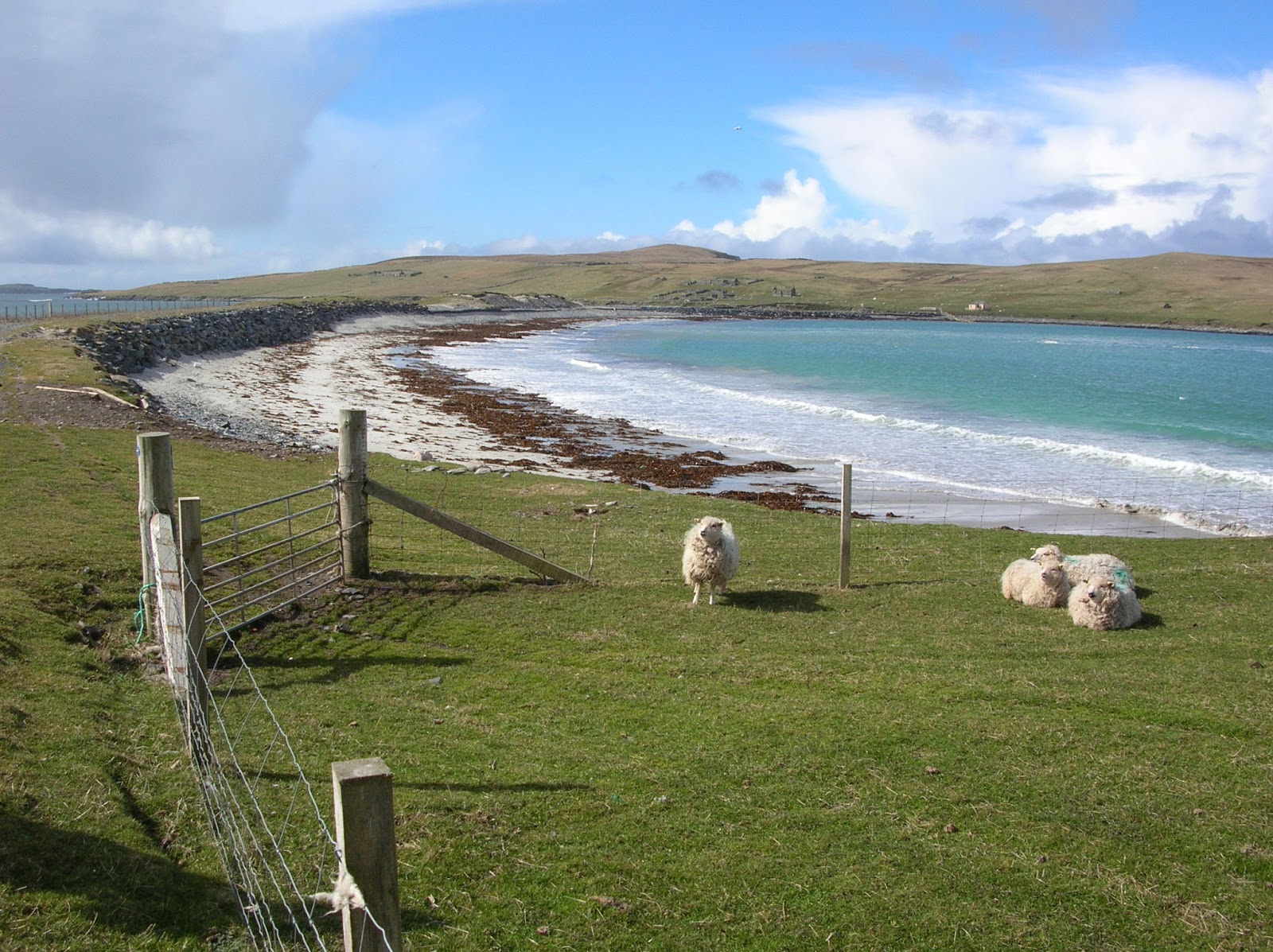 A lifetime of Islands: Island 187 - Kettla Ness, West Burra, Shetland
