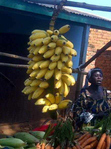 ASILI ASILIA: TOURISM AND CULTURE