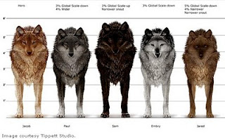 Lobos e Lobas | Wolfs Girls
