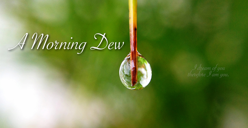 Human Earth: A Morning Dew