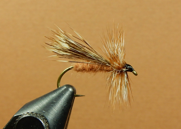 Flytying: New and Old: Woodchuck Caddis