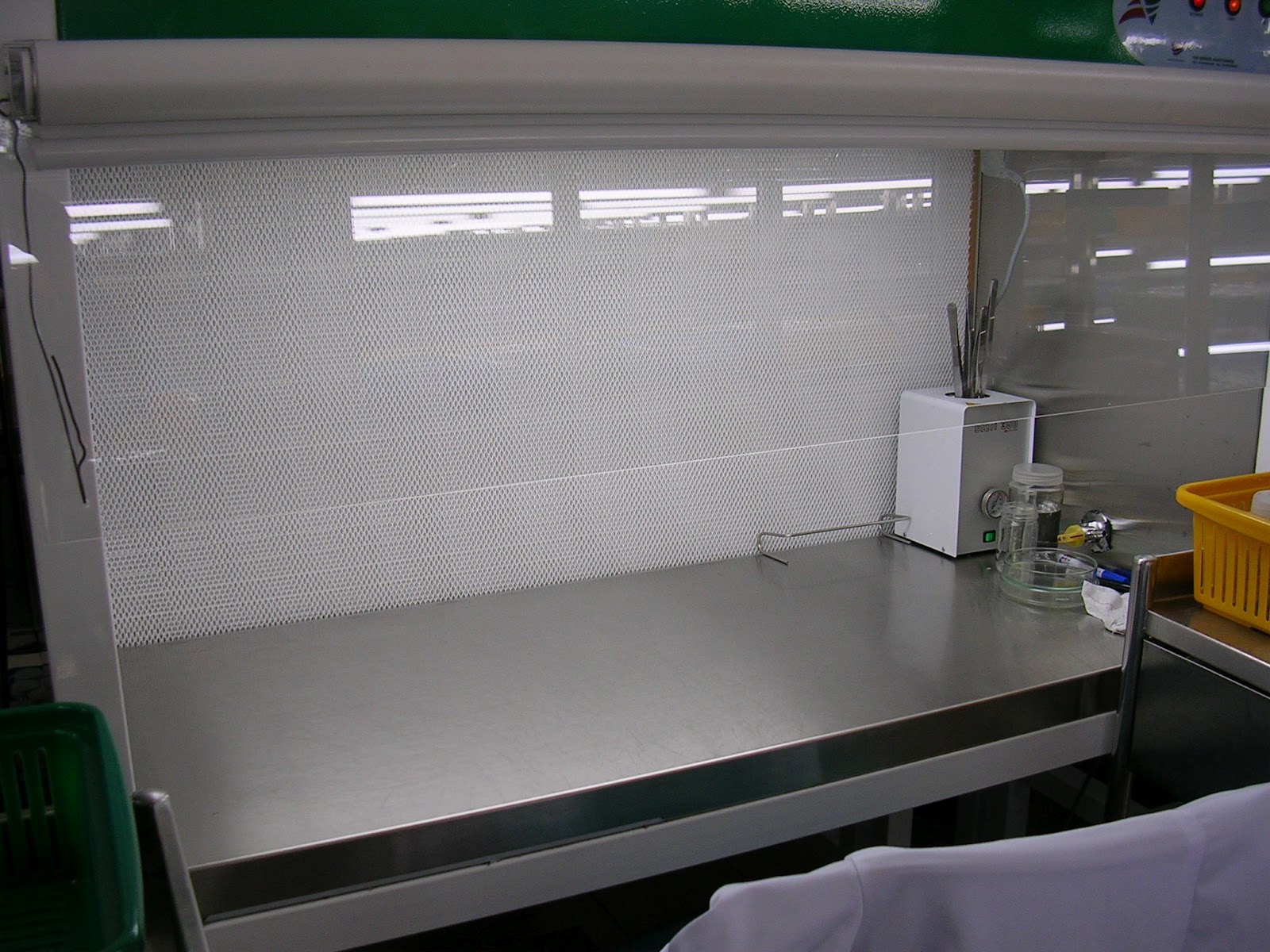 Hexagon Green Group: Tissue Cultured Plantlets