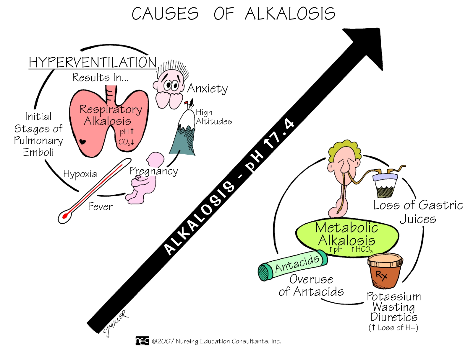 Nursing School: Acid Base Mnemonics