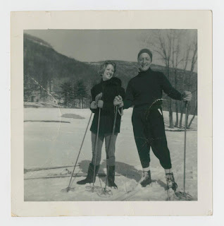 Curiosities & Wonders: 2019