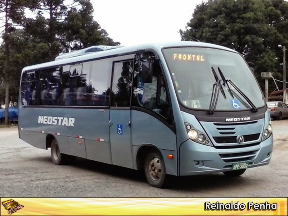 Neostar: O curioso Neobus International