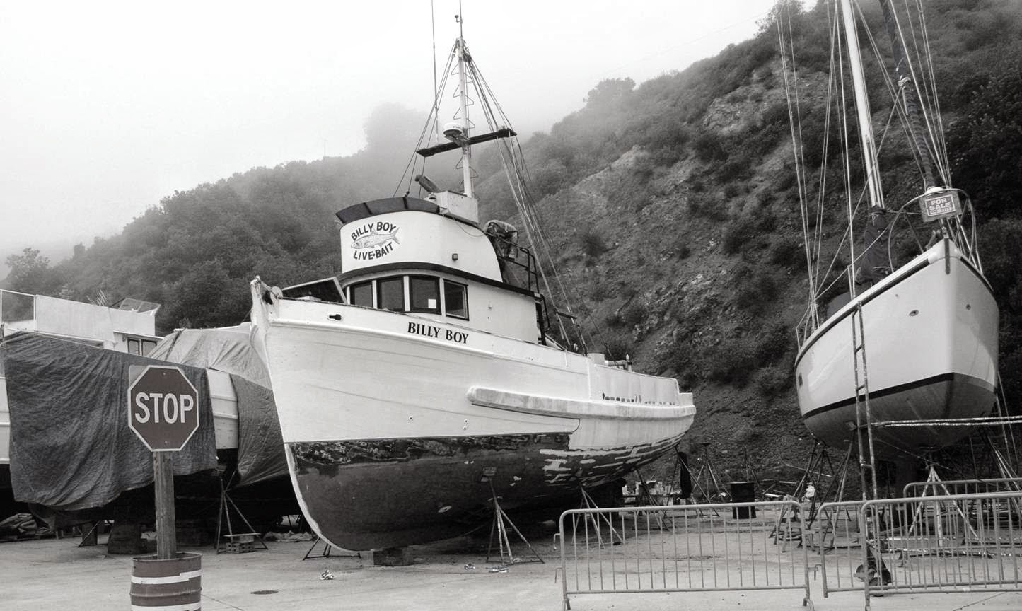 The World in Black & White: Billy Boy