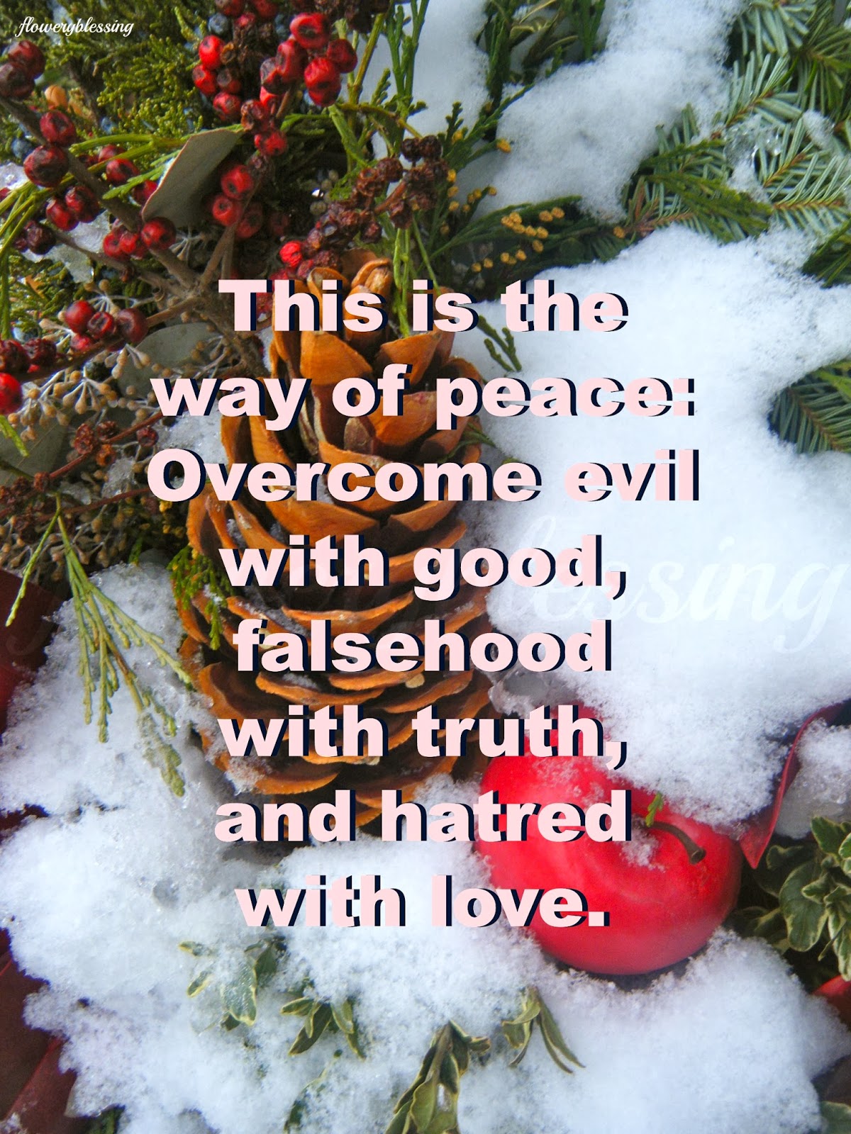 Flowery Blessing: This is the way of peace: Overcome evil with good ...