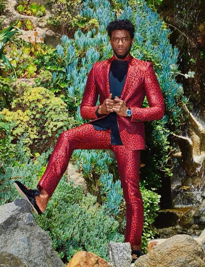 The Wild Reed: Remembering Chadwick Boseman