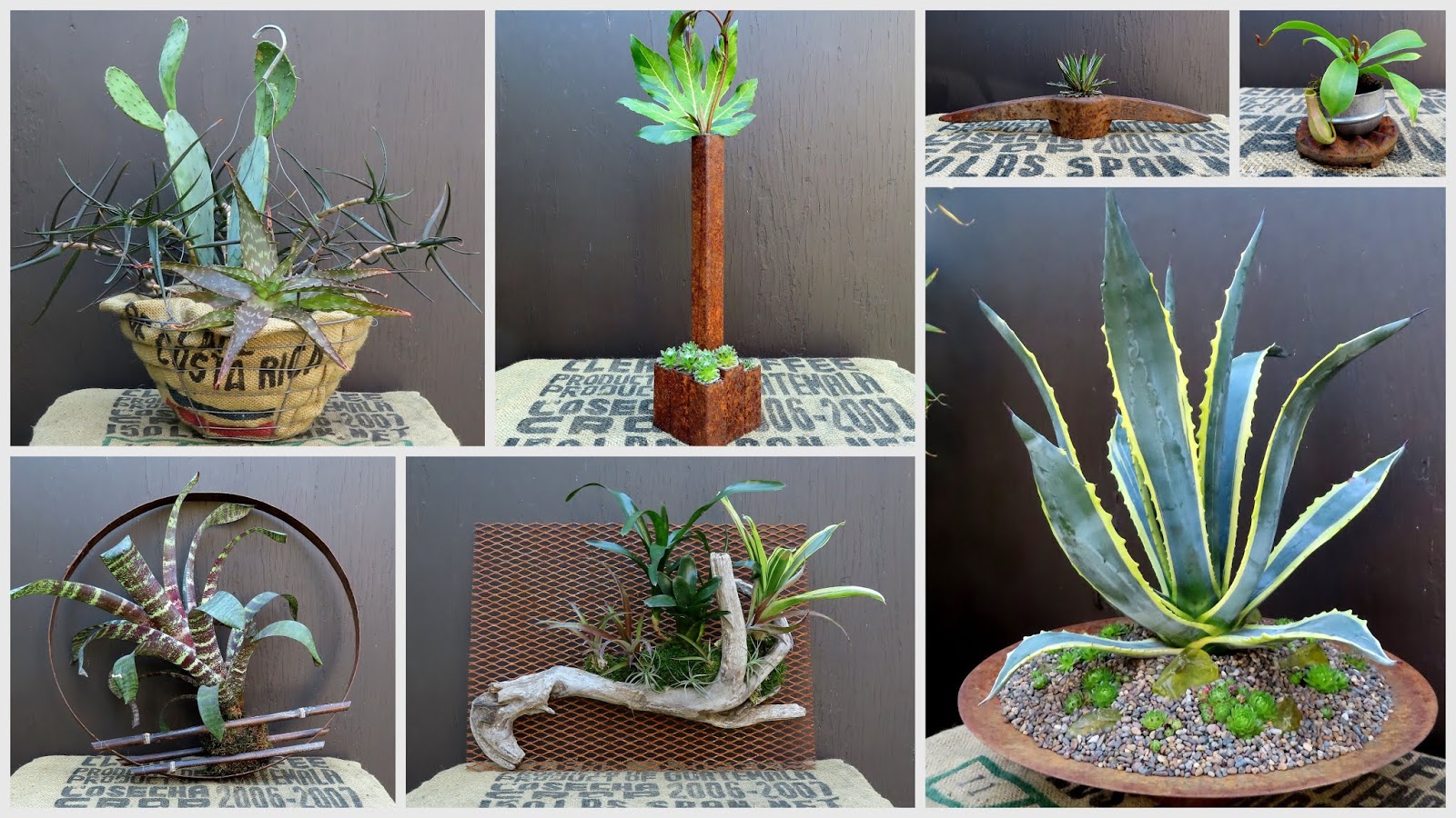 danger garden: danger garden upcycle and plant: things for sale...