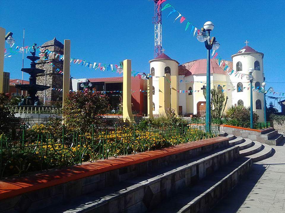 CONIMA PUNO: IMAGENES