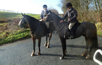 Rockley Farm: Hunting hooves
