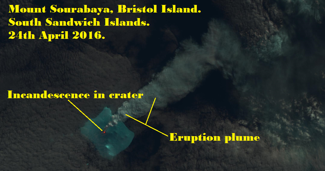 South Sandwich Islands Volcano Monitoring Blog: Eruption on Bristol Island!