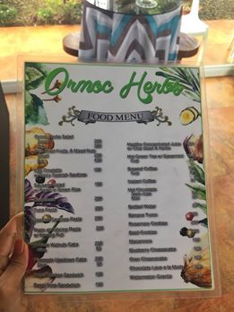 Ormoc Herbs Organic Farm and Restaurant - 8th Infantry Division