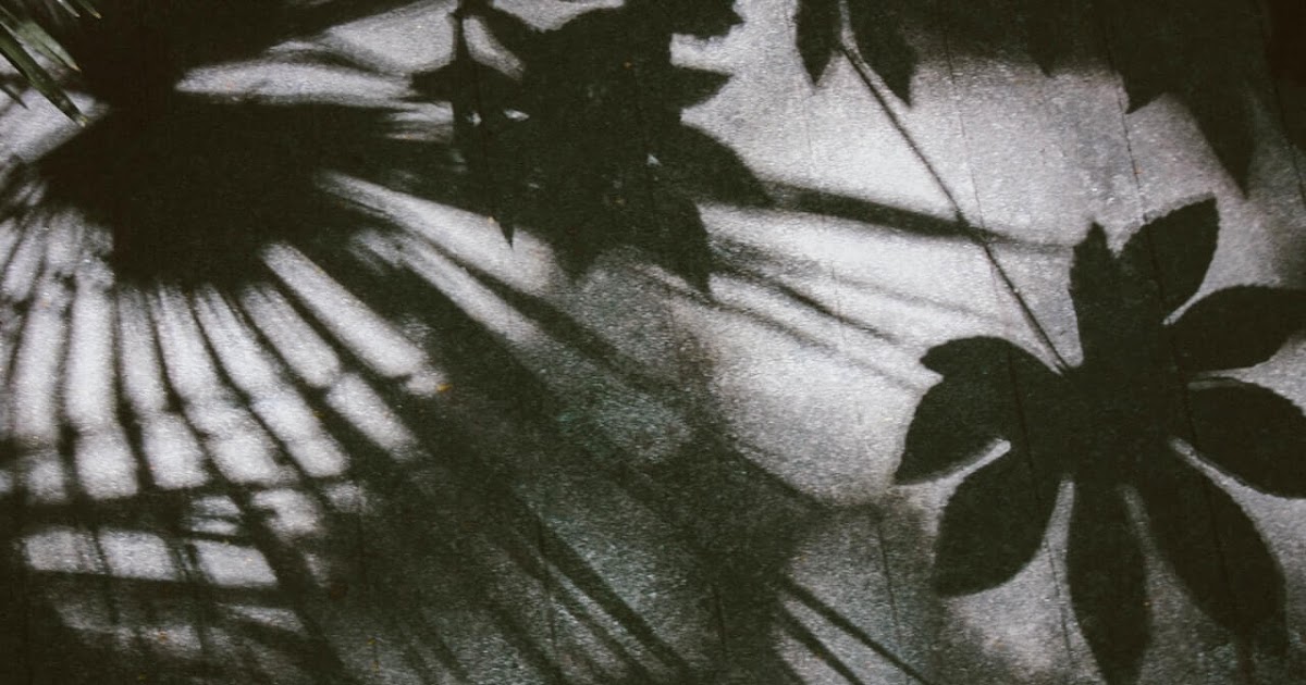 Tips On How To Make Better Light And Shadow Photography | RiseZoom ...