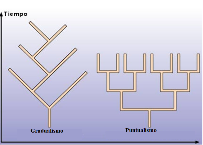 Ivernalia: 4º ESO Biología y Geología UD 6 Origen y evolución de la vida