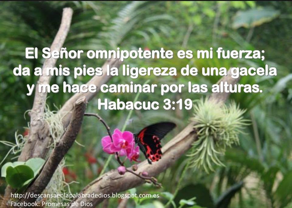 Promesas de Dios: Habacuc 3:19