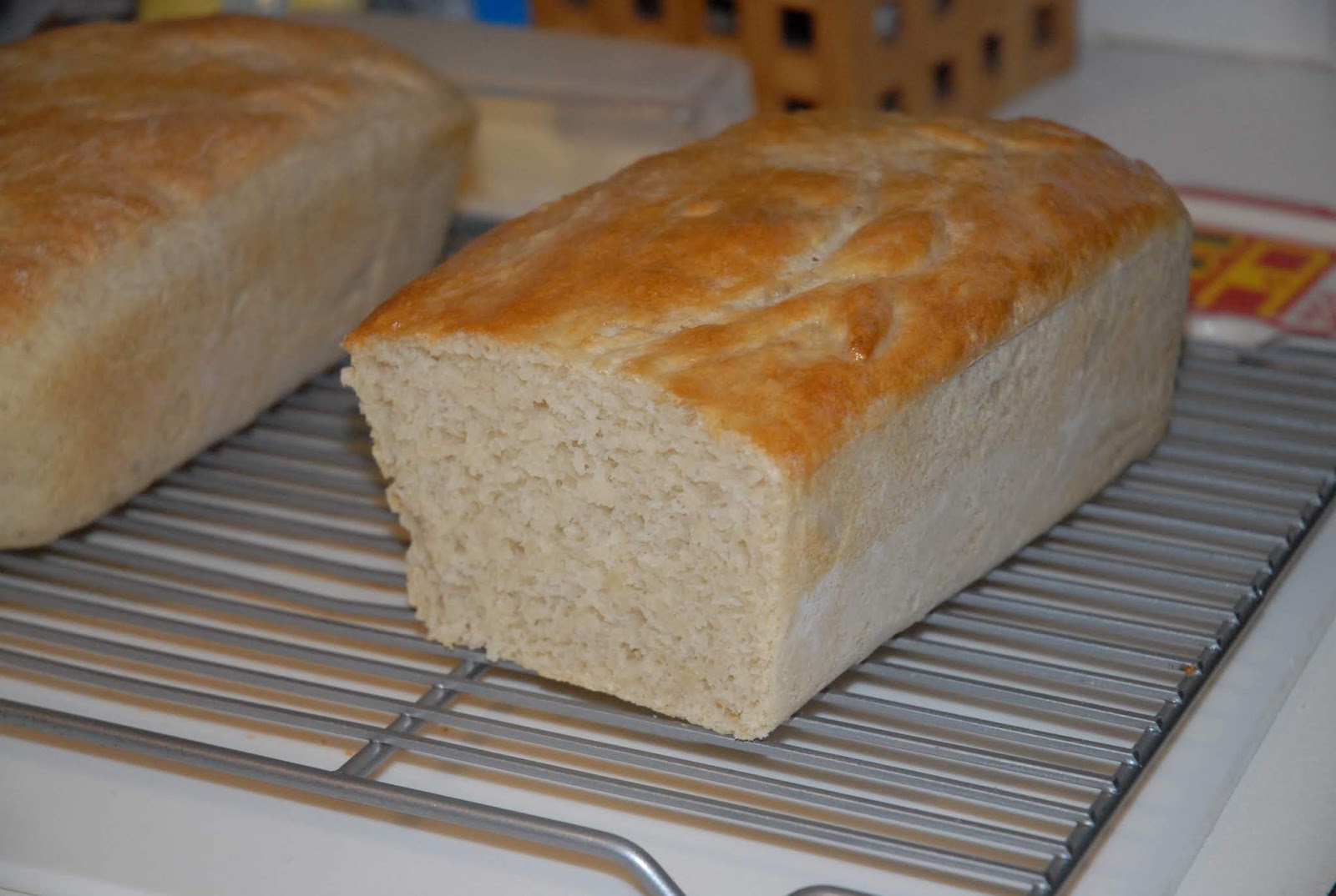 Every Blade of Grass: Bread.....Epilogue