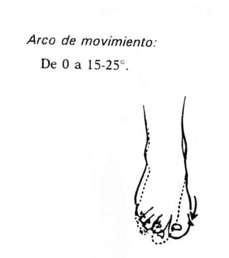 A MOVERSE !!: EVERSIÓN DEL PIE