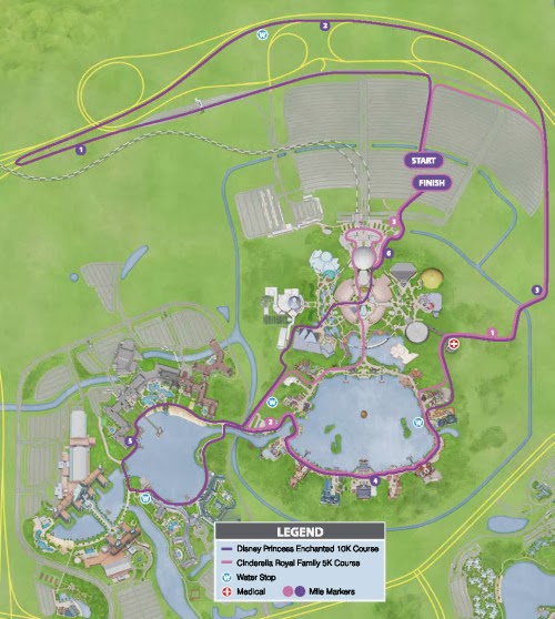 Disney Princess Half Marathon and Glass Slipper Challenge | I Run For Wine