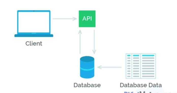 Pengertian API: Fungsi, Keuntungan, Jenis dan Penggunaannya Secara ...