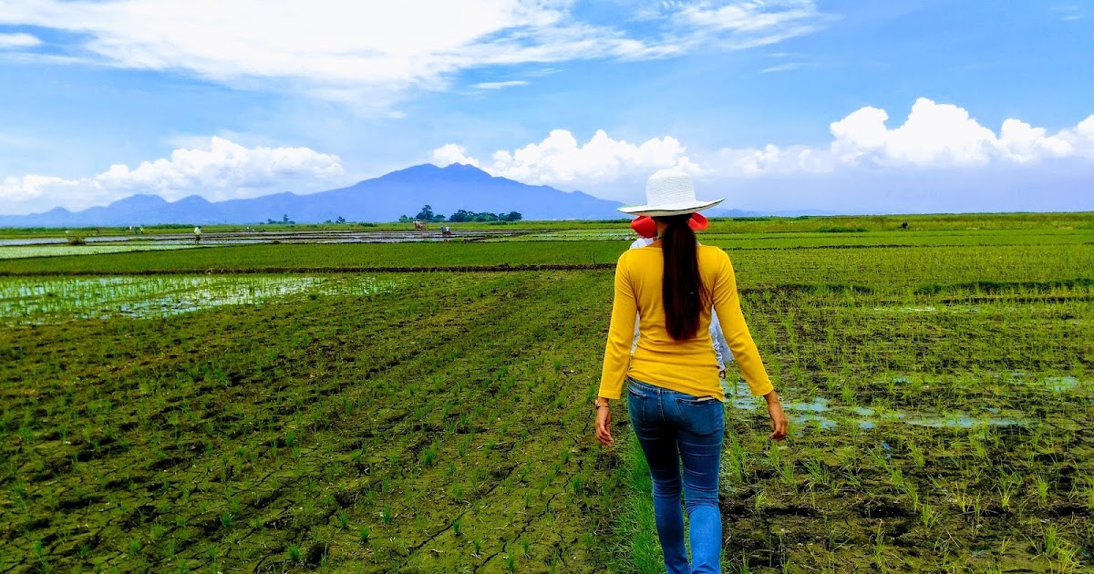 Philippine Legends: The Legend of Rice (Ang Alamat ng Palay)