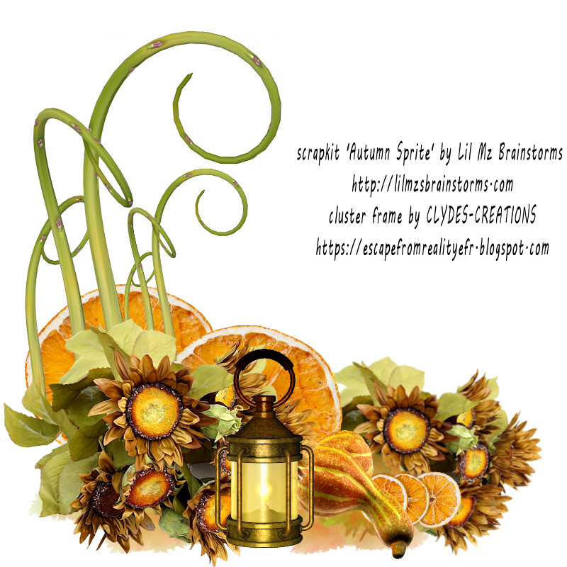 Escape From Reality Blog: FTU 'Autumn Sprite' Cluster Frames LMB