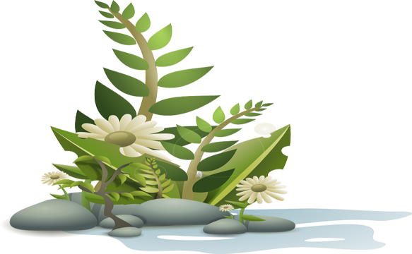 How to Balance Five Elements or Pancha Bhoota in Our Body - Yogasutram ...