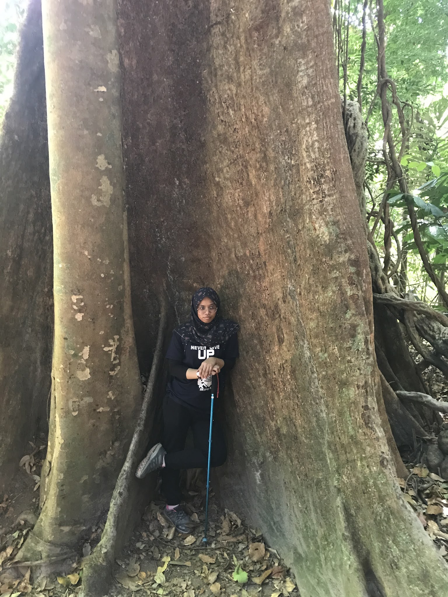 Mendaki Bukit Denai Tiga Puteri Kota Damansara