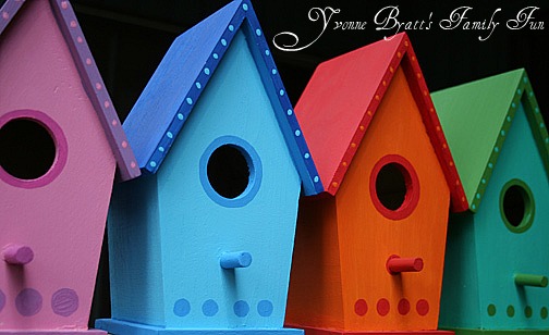 Yvonne Byatt's Family Fun: NATIONAL BIRD BOX WEEK
