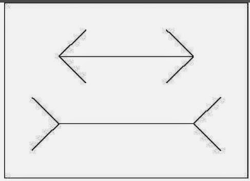 Thinking Fast and Slow - Study Notes - Version 2: 01 - Chapter 1: The ...