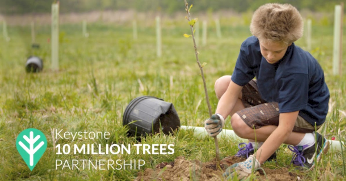 PA Environment Digest Blog: CBF, Keystone 10 Million Trees Partnership ...