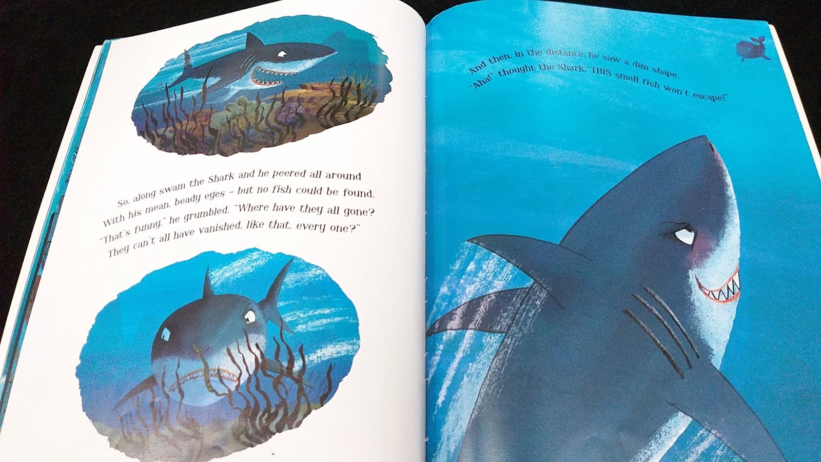 Kid Books Blog: 445.Cats Ahoy / The Shark in the Dark