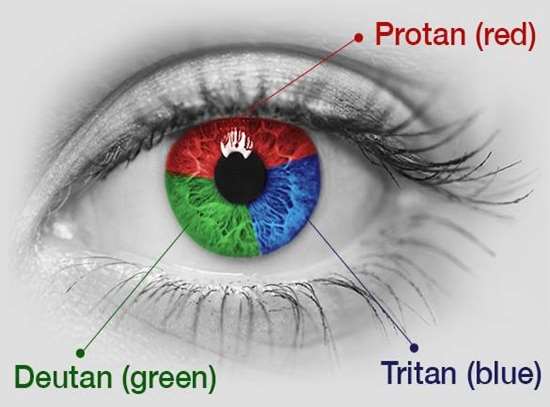 Why should emergency exit signs be green, not red? EHS guide - HSE and ...