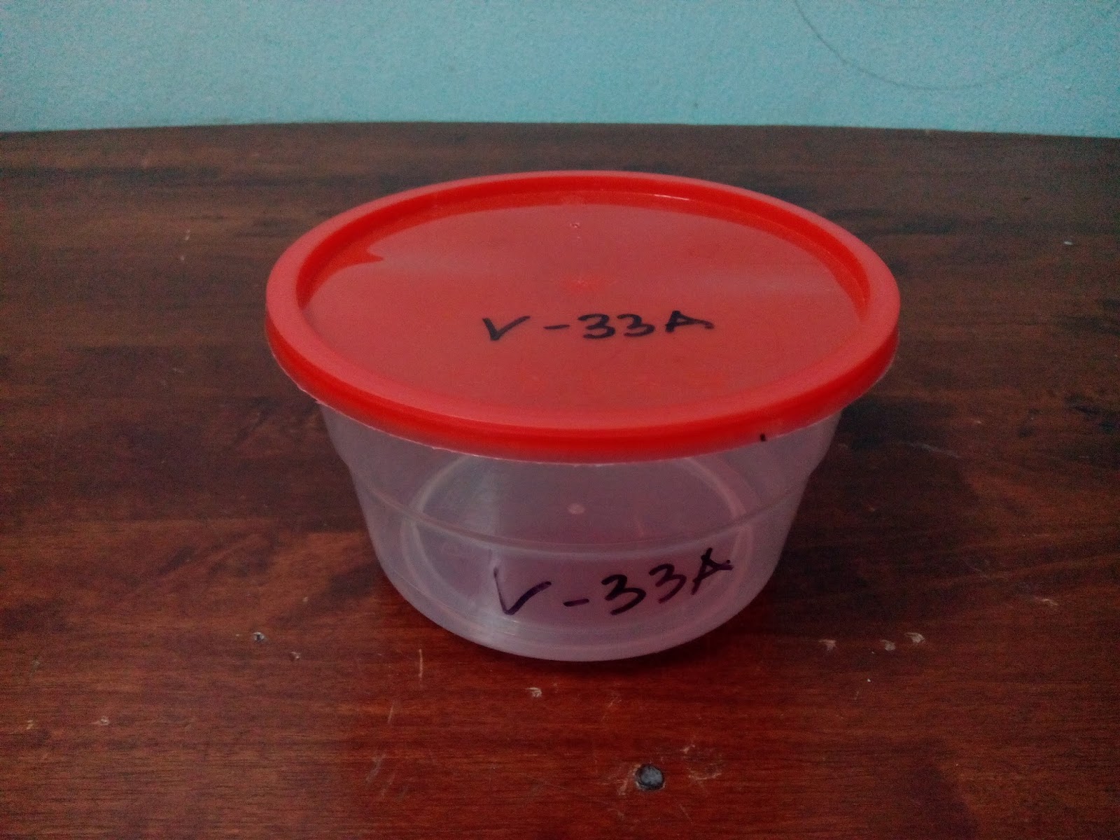 Produk Bekas - Bekas Plastik Bulat Microwave Pelbagai Saiz - Pemborong ...