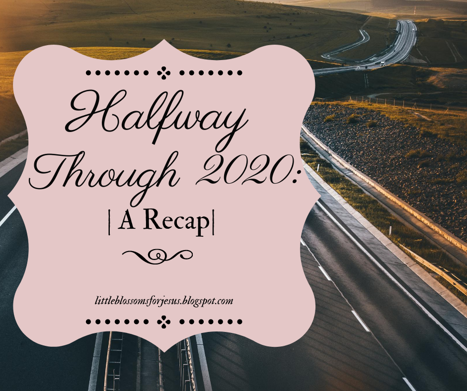 Little Blossoms for Jesus: Halfway Through 2020: A Recap
