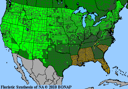 Restoring The Landscape With Native Plants: Native Plant of the Week ...