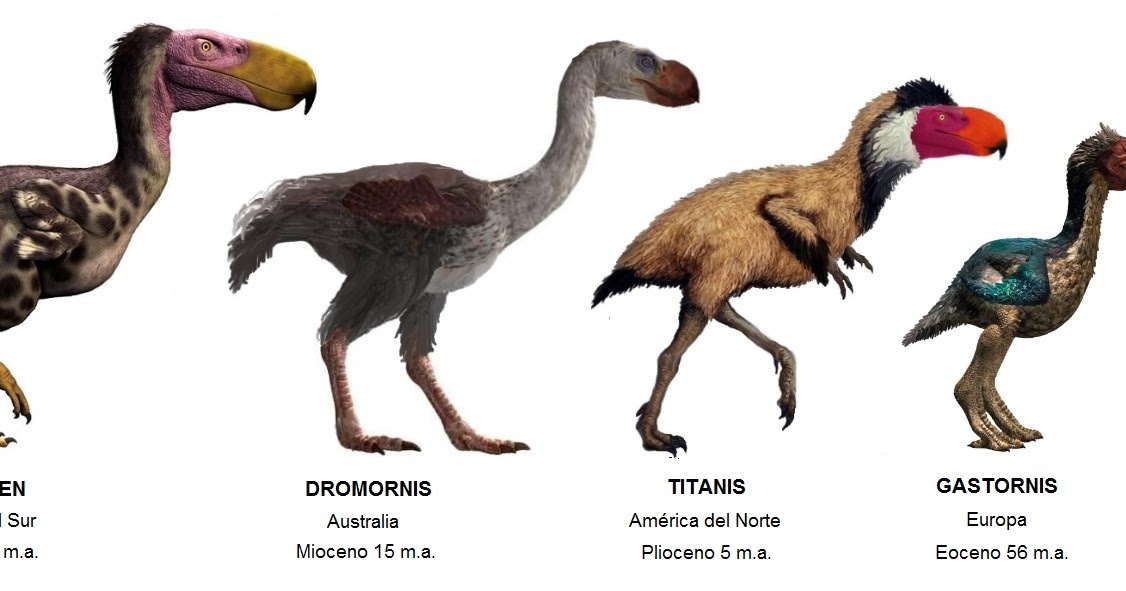 animales prehistóricos: Ave del terror