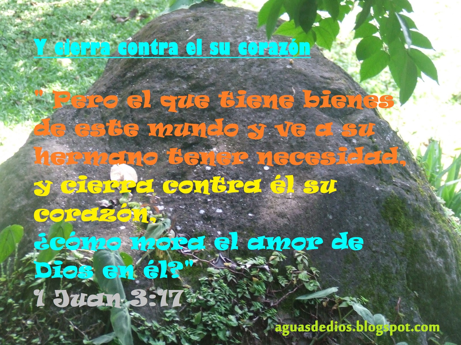 Compartamos la Palabra de Elohim: Pero el que tiene bienes de este ... Compartamos la Palabra de Elohim: Pero el que tiene bienes de este ...