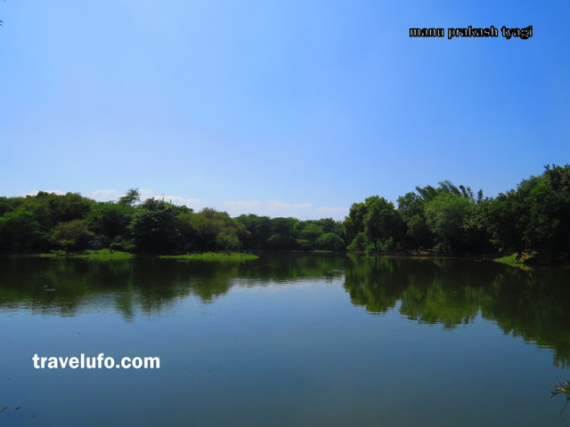 sanjay van Delhi ,EXPERIENCE , PICTURES AND HAUNTED STORY OF SANJAY VAN ...