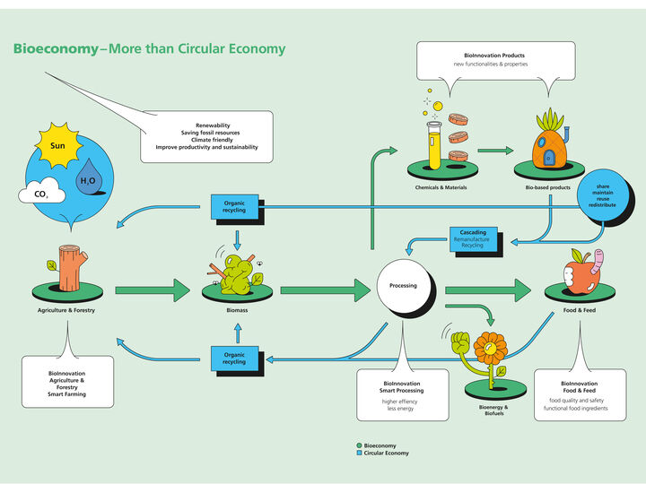 SGN Consulting: The Bioeconomy is Much More Than a Circular Economy