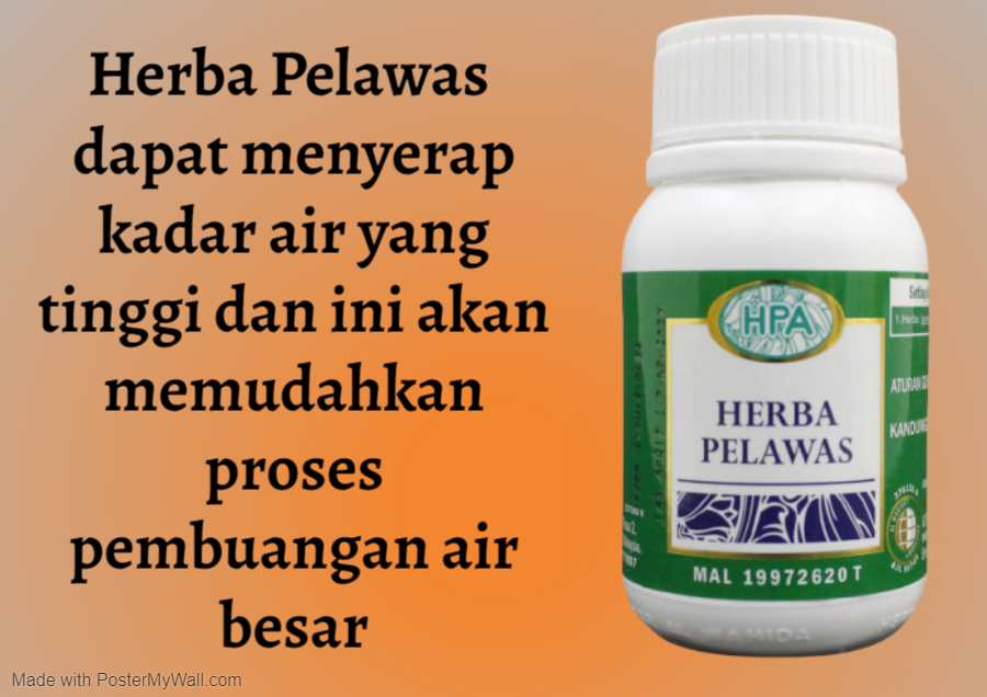 Kapsul Herba Pelawas