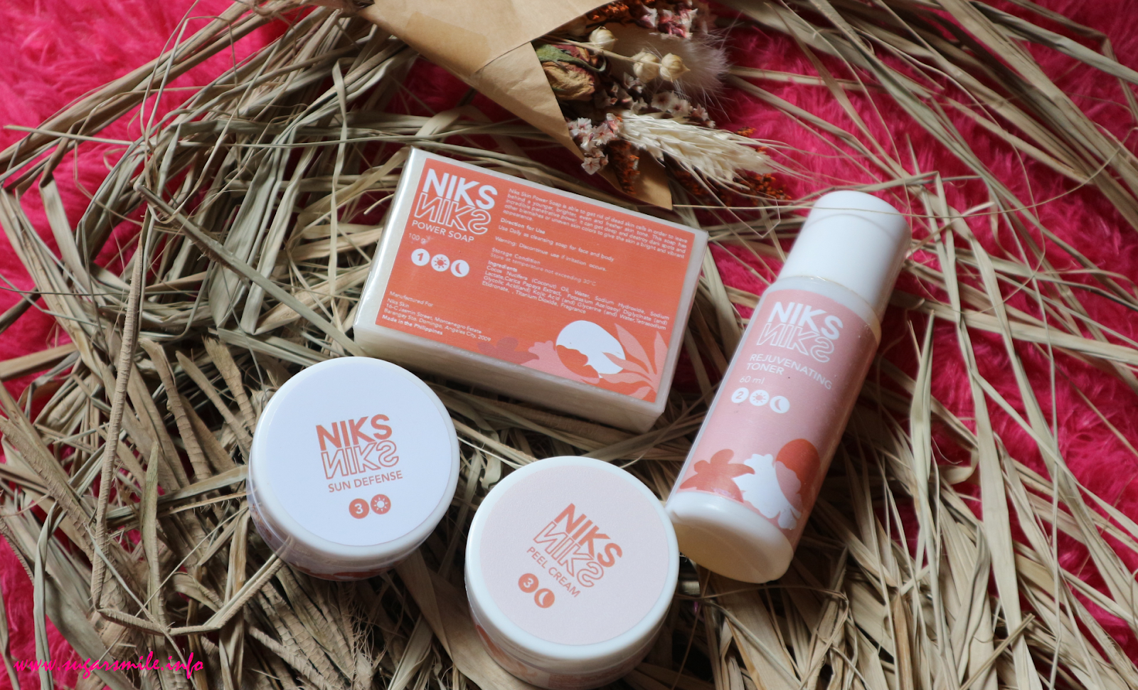 How to Improve Your Skin and Score a Business Opportunity with Niks ...