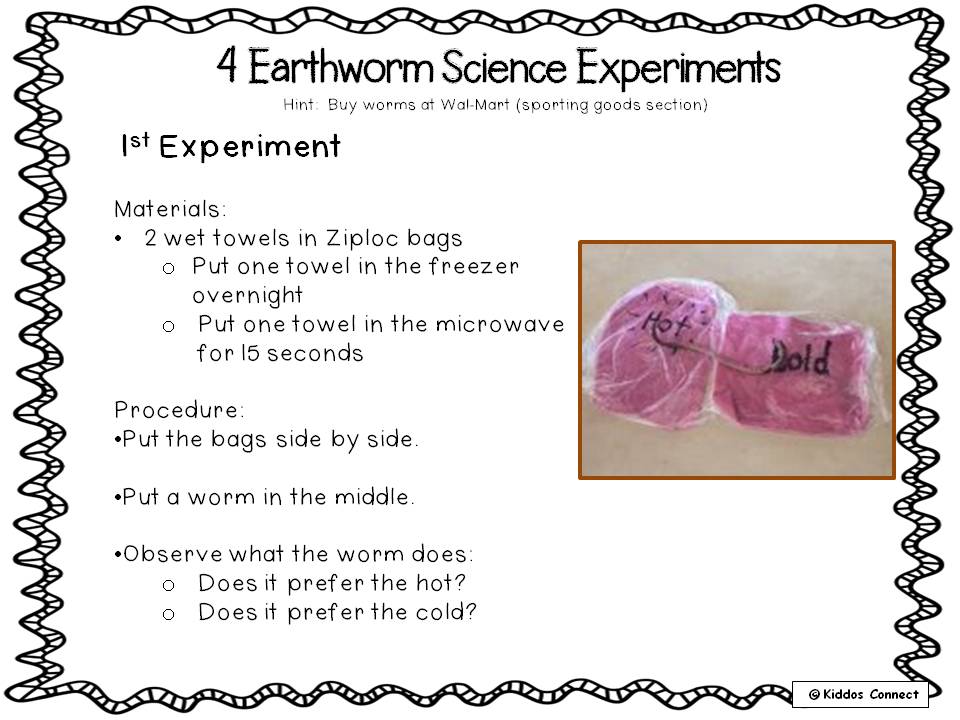 Kiddos Connect Blog: Wiggle Worms Unit and Close (and a freebie too!)