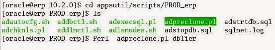Oracle Developer Tutorial Oracle R12 Cloning One Node To Multi Node